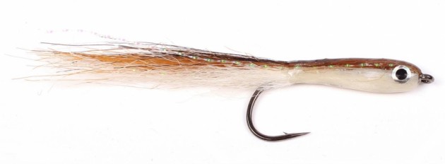 Polen Flugan | Salar Sportsfiske